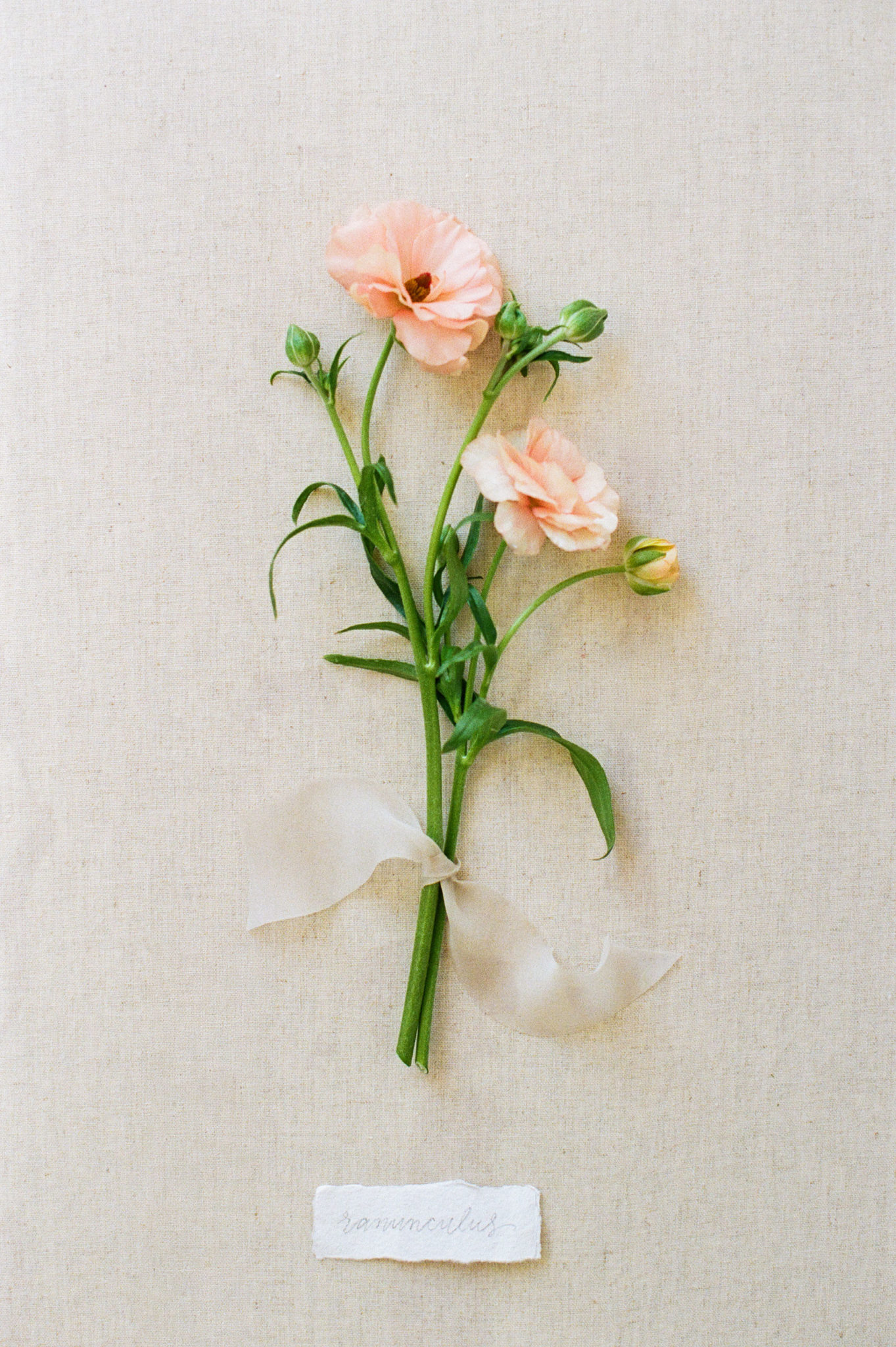 Creative Floral Session with Peony & Plum - Krista Mason Photography