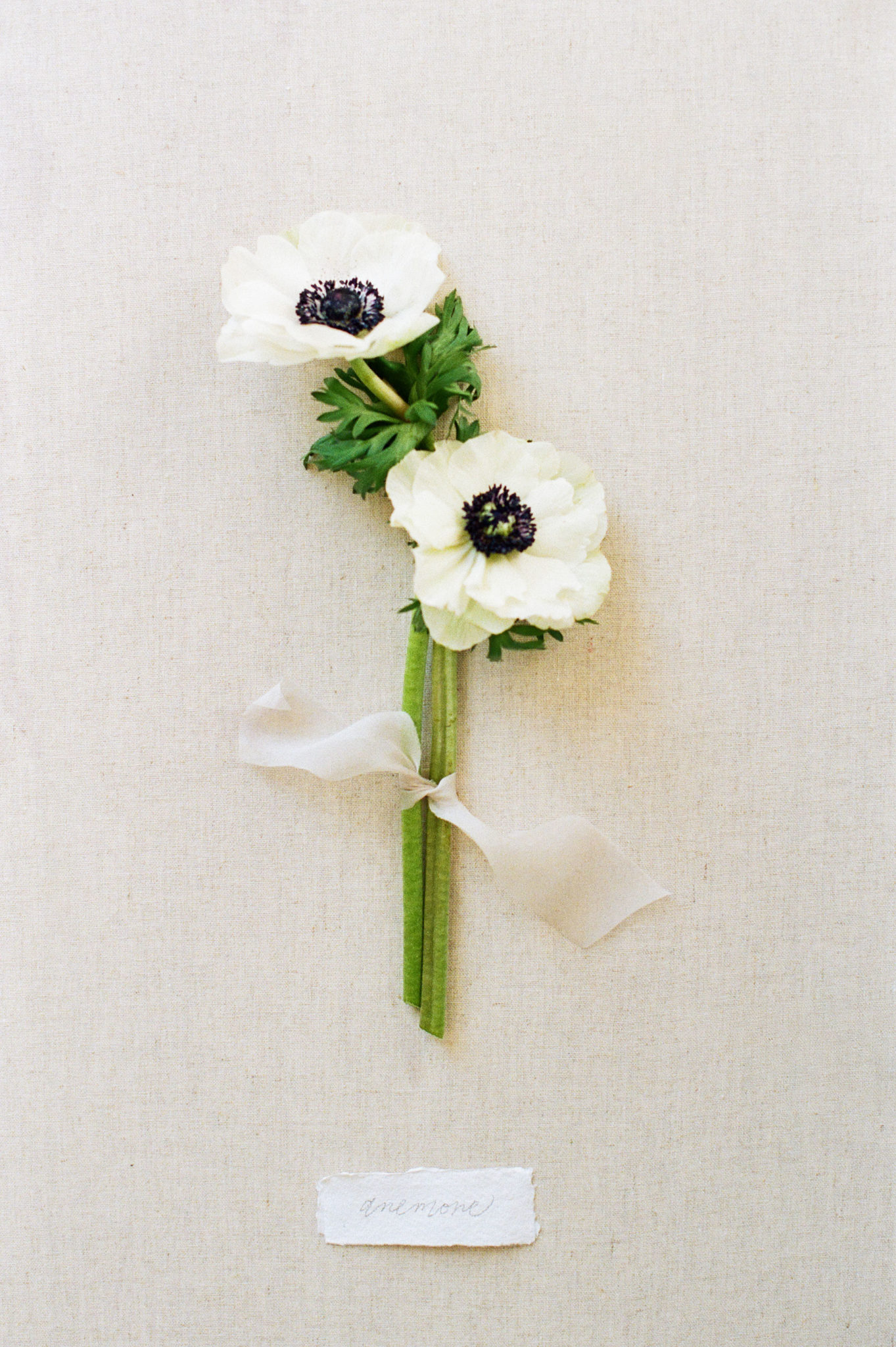 Creative Floral Session with Peony & Plum - Krista Mason Photography