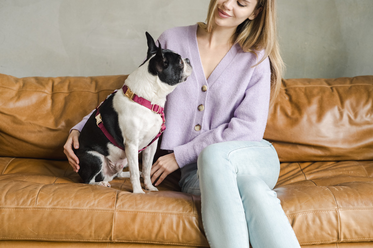 Brand Photoshoot for UNIMIN Pet’s Eco-Friendly Dog Gear - Krista Mason ...
